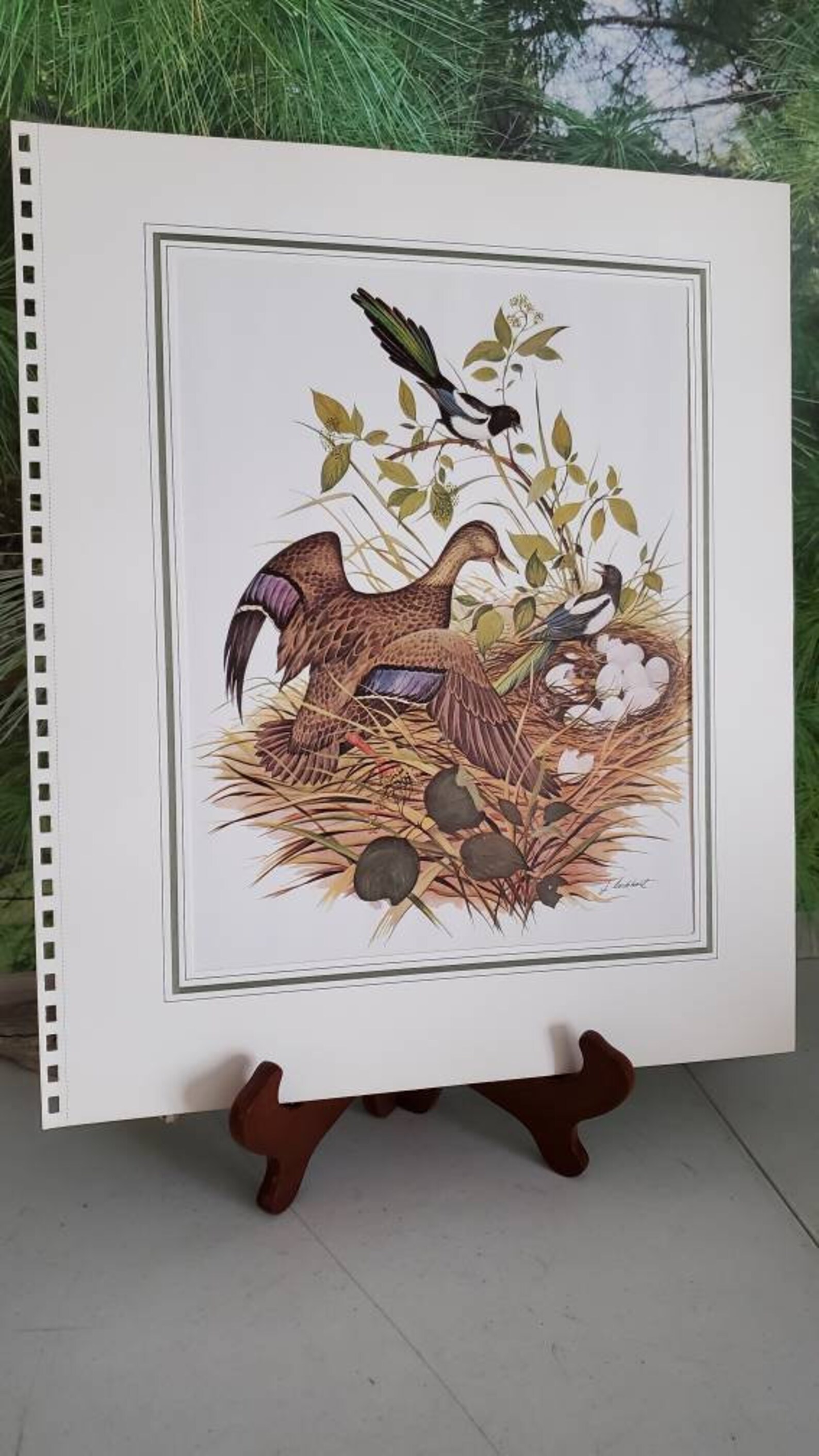 Large 1967 James Lockhart Black Duck & Magpie 17 9/16 Inches X - Etsy