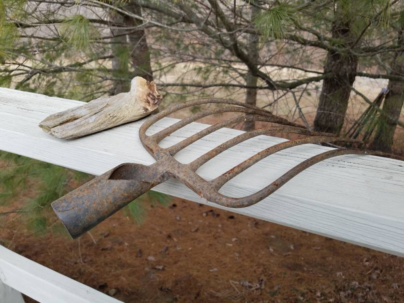 Rusty 6 Tine Pitchfork Head Cast Iron | Etsy