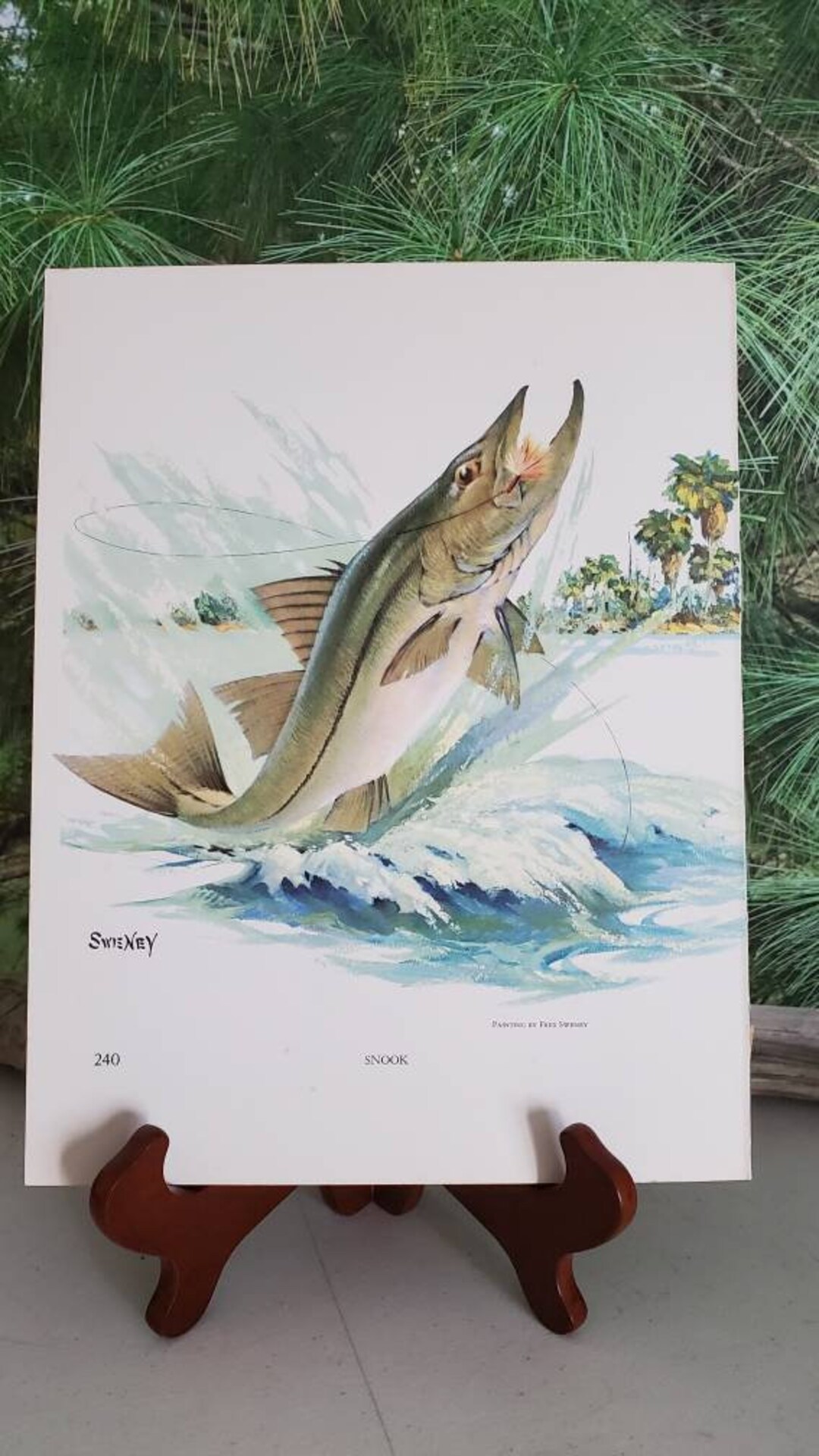 Vintage Snook & Blue Marlin Fish Art Print: Signed Fred Sweney ...