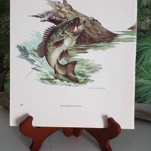 Signed Fred Sweney Bass Bookplate: Vintage Fish Art Print - Etsy