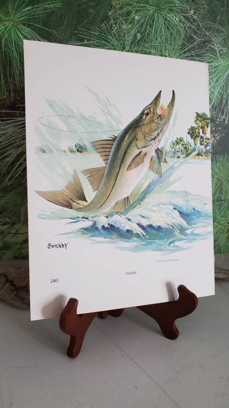 Vintage Snook & Blue Marlin Fish Art Print: Signed Fred Sweney ...
