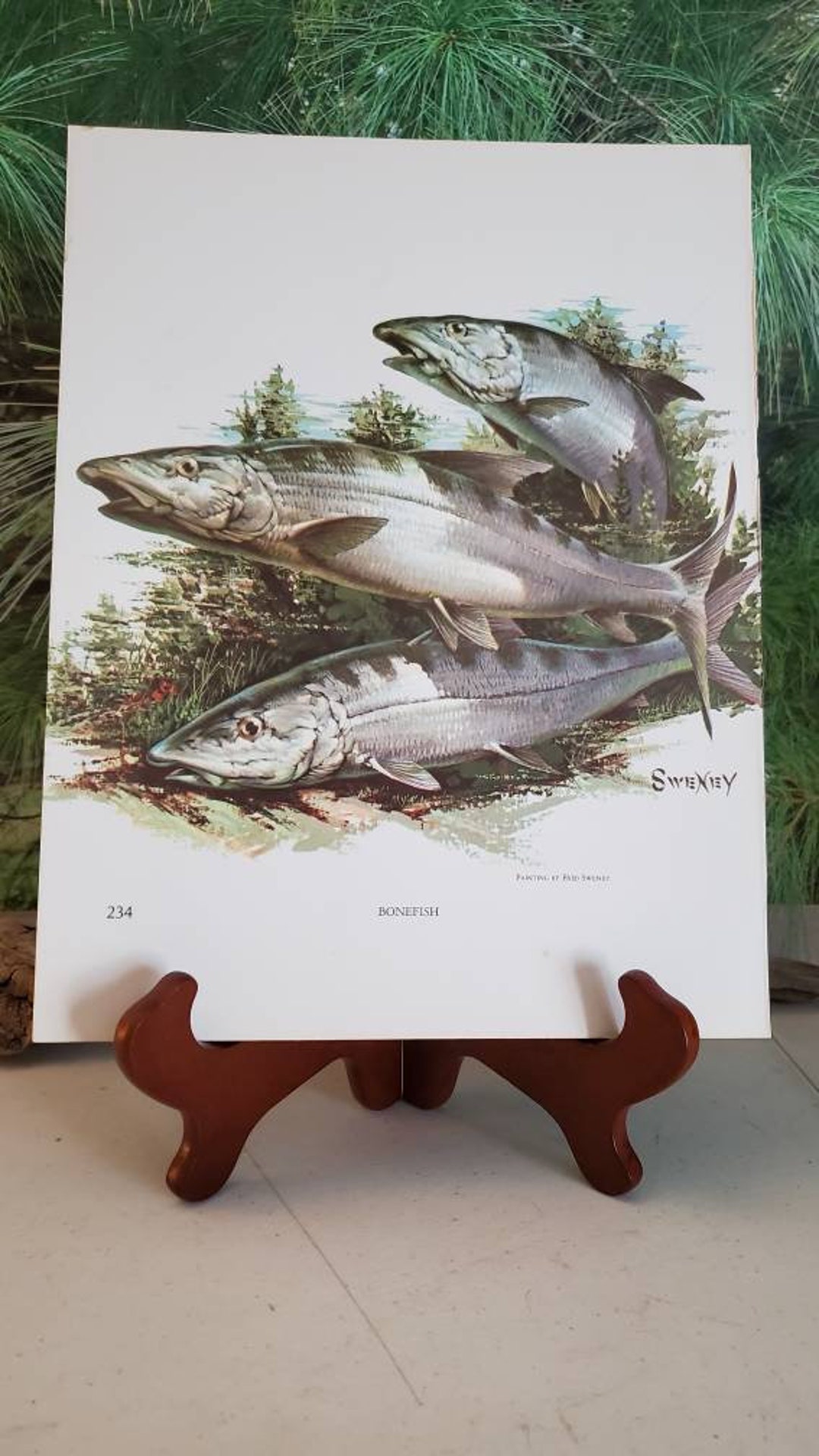 1970 Fred Sweney Bonefish & Broadbill Swordfish Signed Bookplate 233 ...