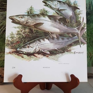 1970 Fred Sweney Bonefish & Broadbill Swordfish Signed Bookplate 233 ...