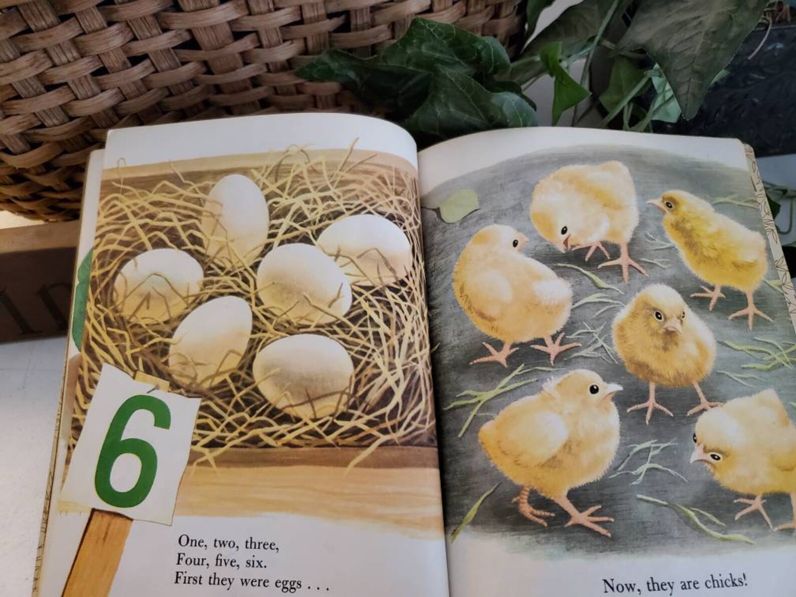 1975 my First Counting Book A Little Golden Book / - Etsy