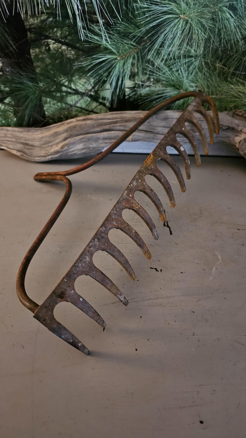 Rustic Cast Iron Rake Head: Distressed Farmhouse Garden Tool - Etsy