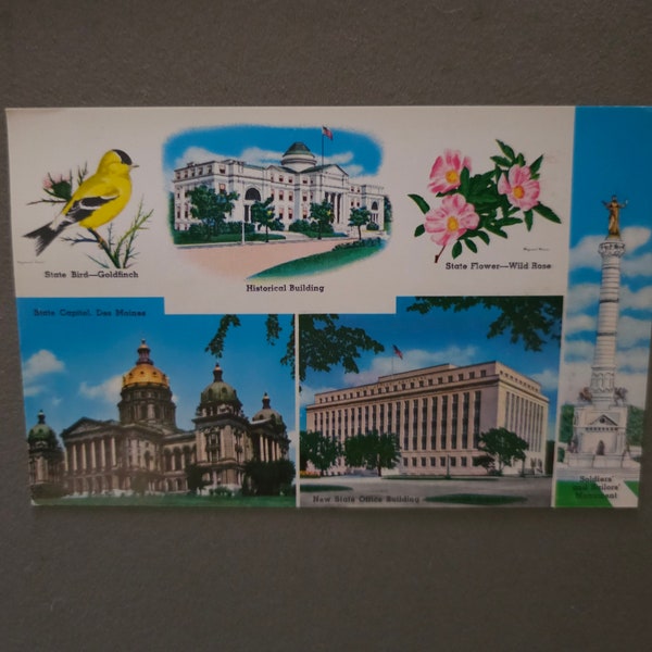 Facts State Symbols - Etsy