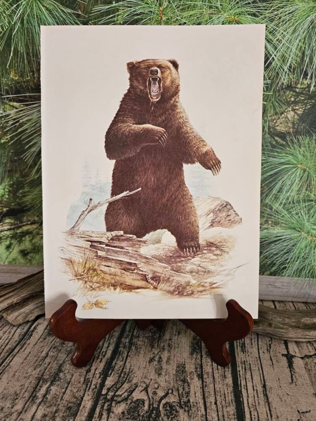 Grizzly Bear Nature Print Color Lithograph Original Wildlife Bookplate ...