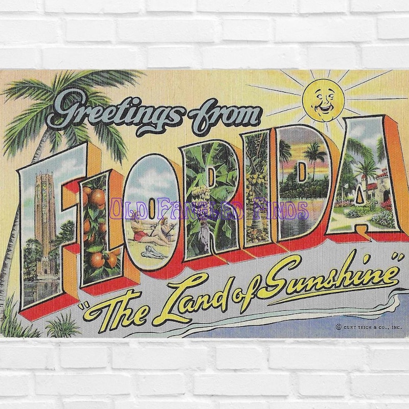Florida Postcard - Etsy