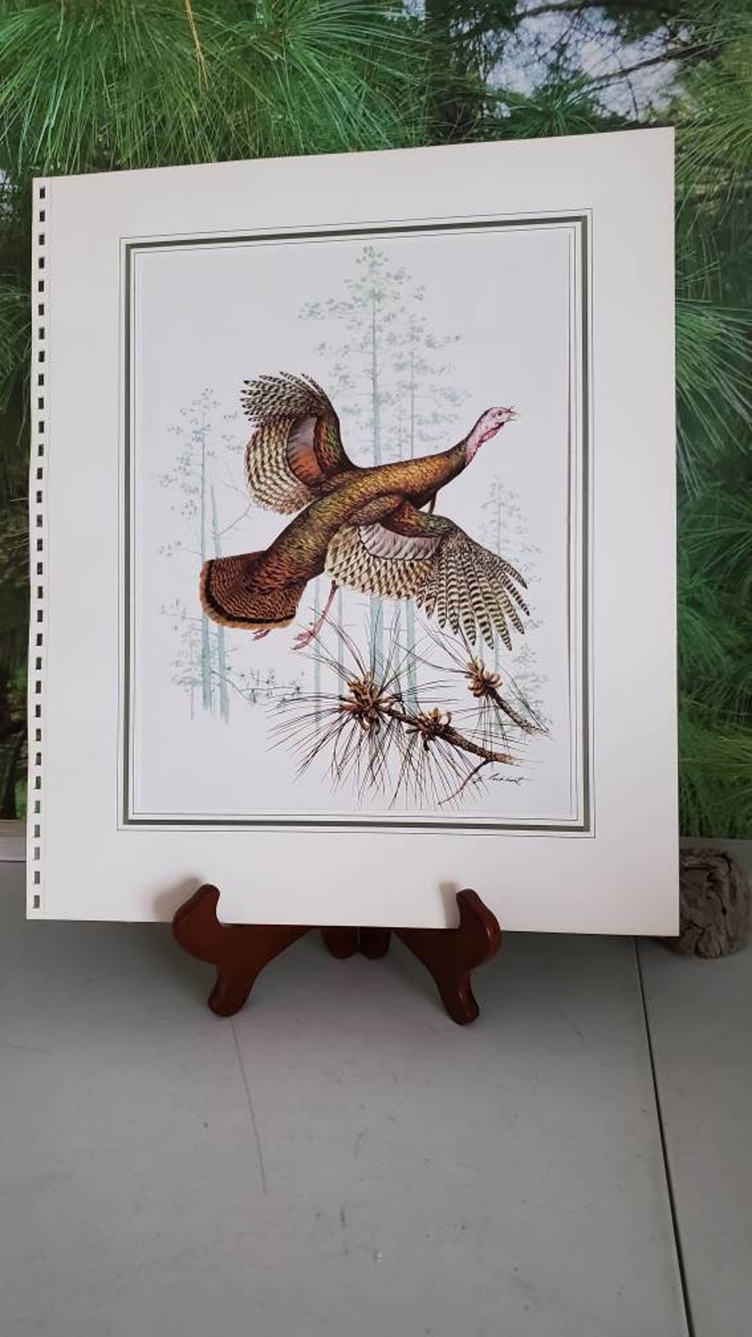 1967 Large James Lockhart Turkey in Flight Bookplate 17 5/8 Inches X 14 ...