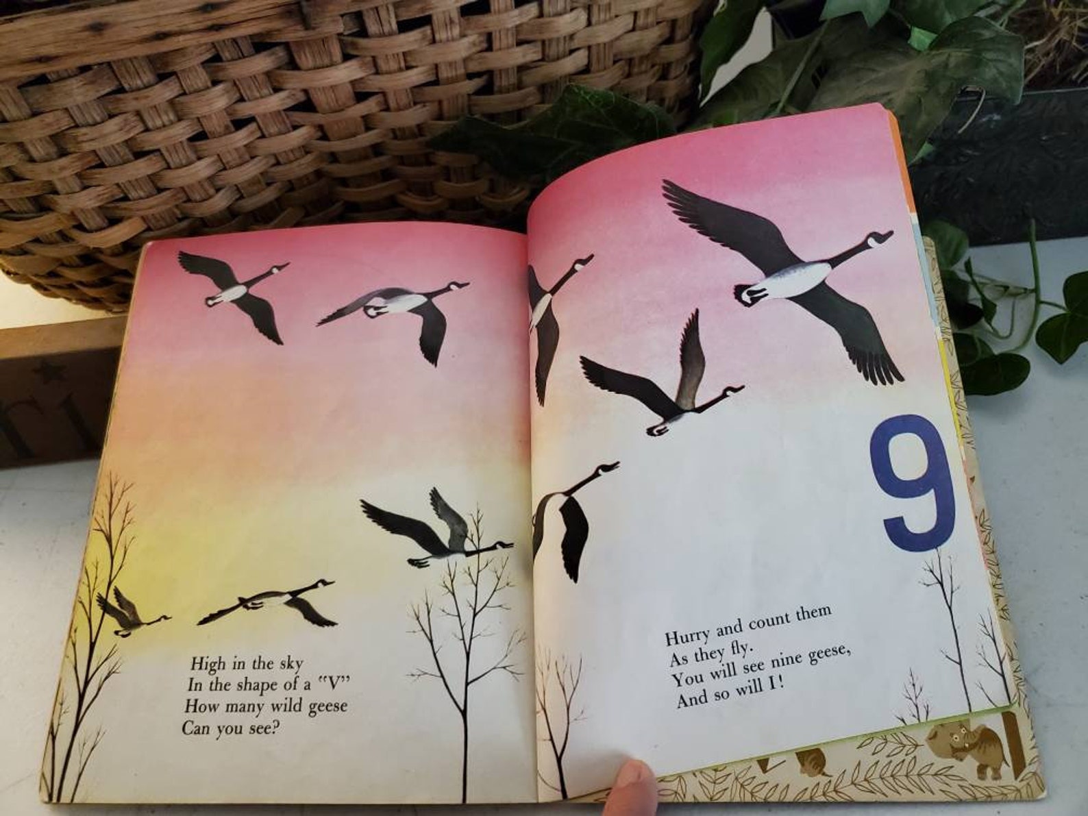 1975 my First Counting Book A Little Golden Book / - Etsy