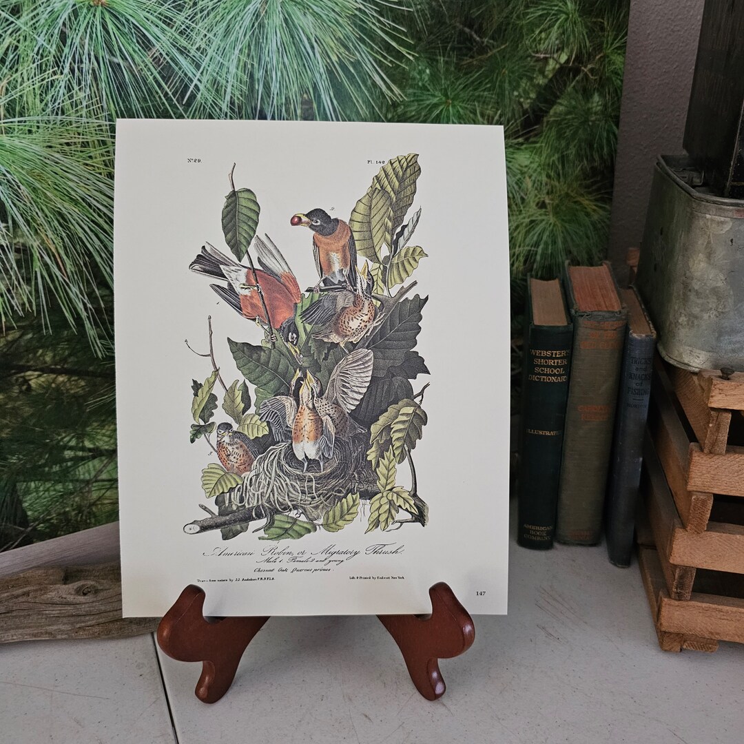 American Robin & Dwarf Thrush J. J. Audubon Bookplate 1980 Double Sided ...