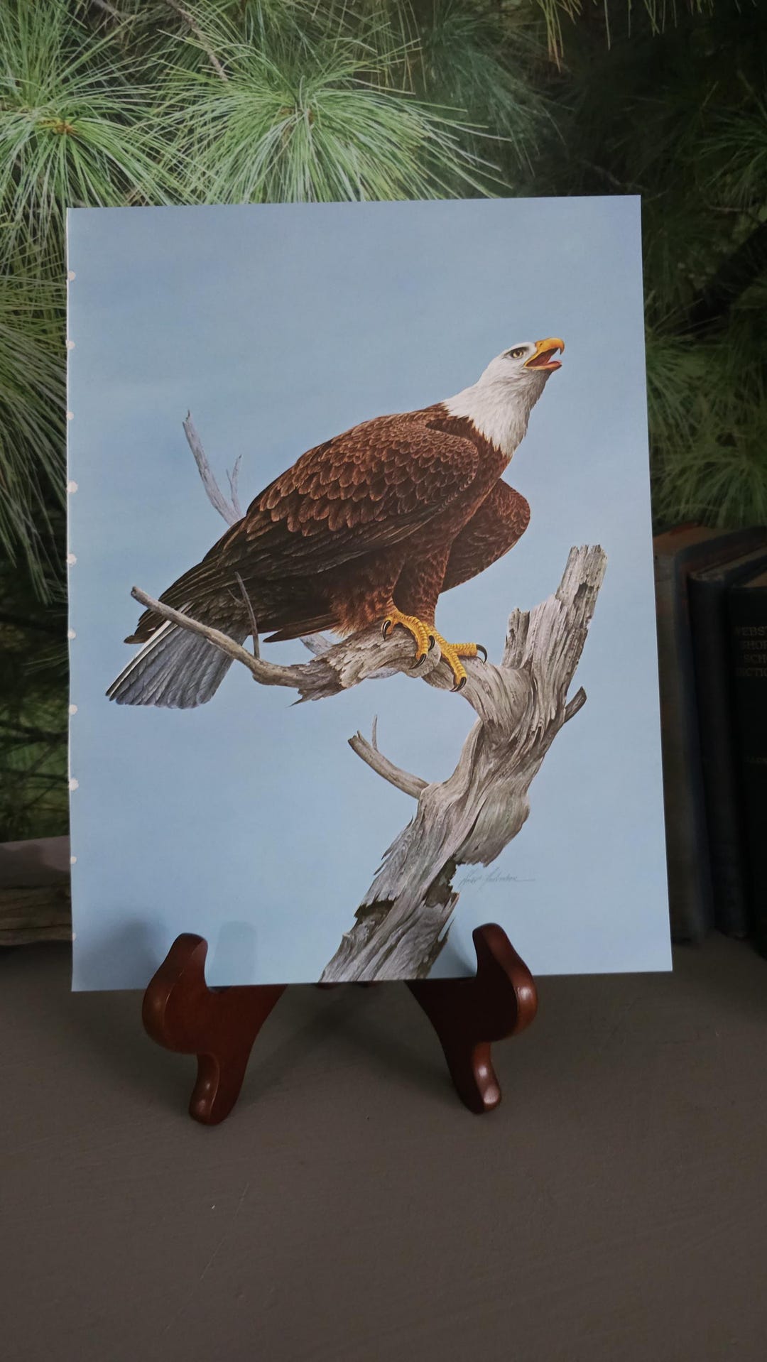 Vintage Bald Eagle Bookplate: Severt Andrewson Wildlife Art, 1978 - Etsy