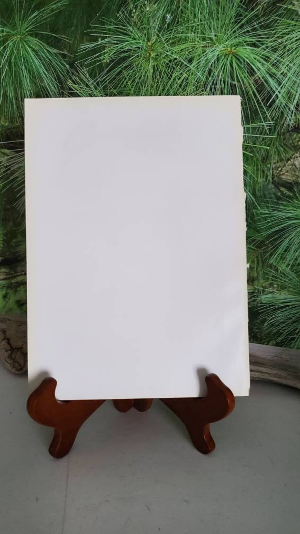 Rough Legged Hawk Broad Winged Hawk & Marsh Hawk Print by - Etsy