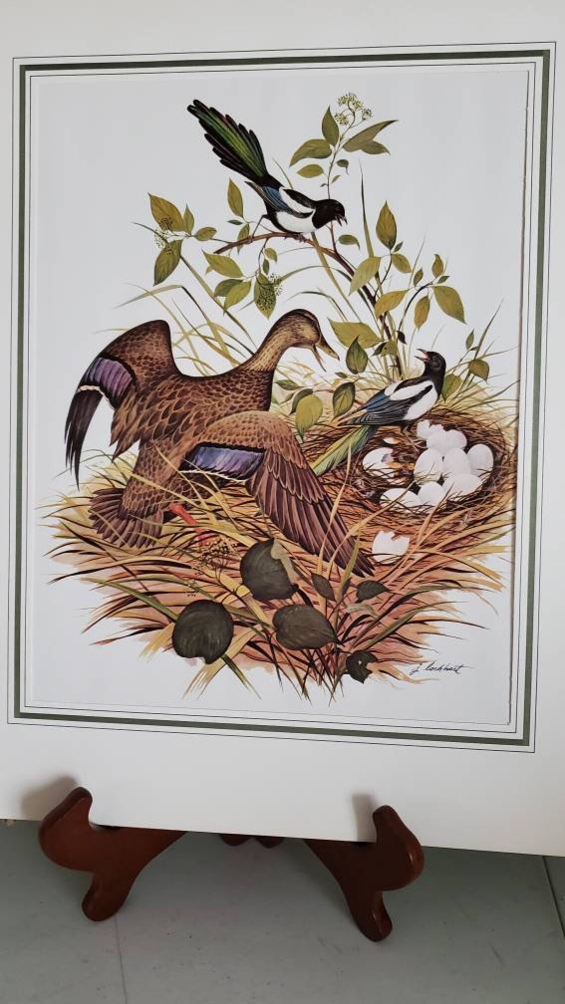 Large 1967 James Lockhart Black Duck & Magpie 17 9/16 Inches X - Etsy