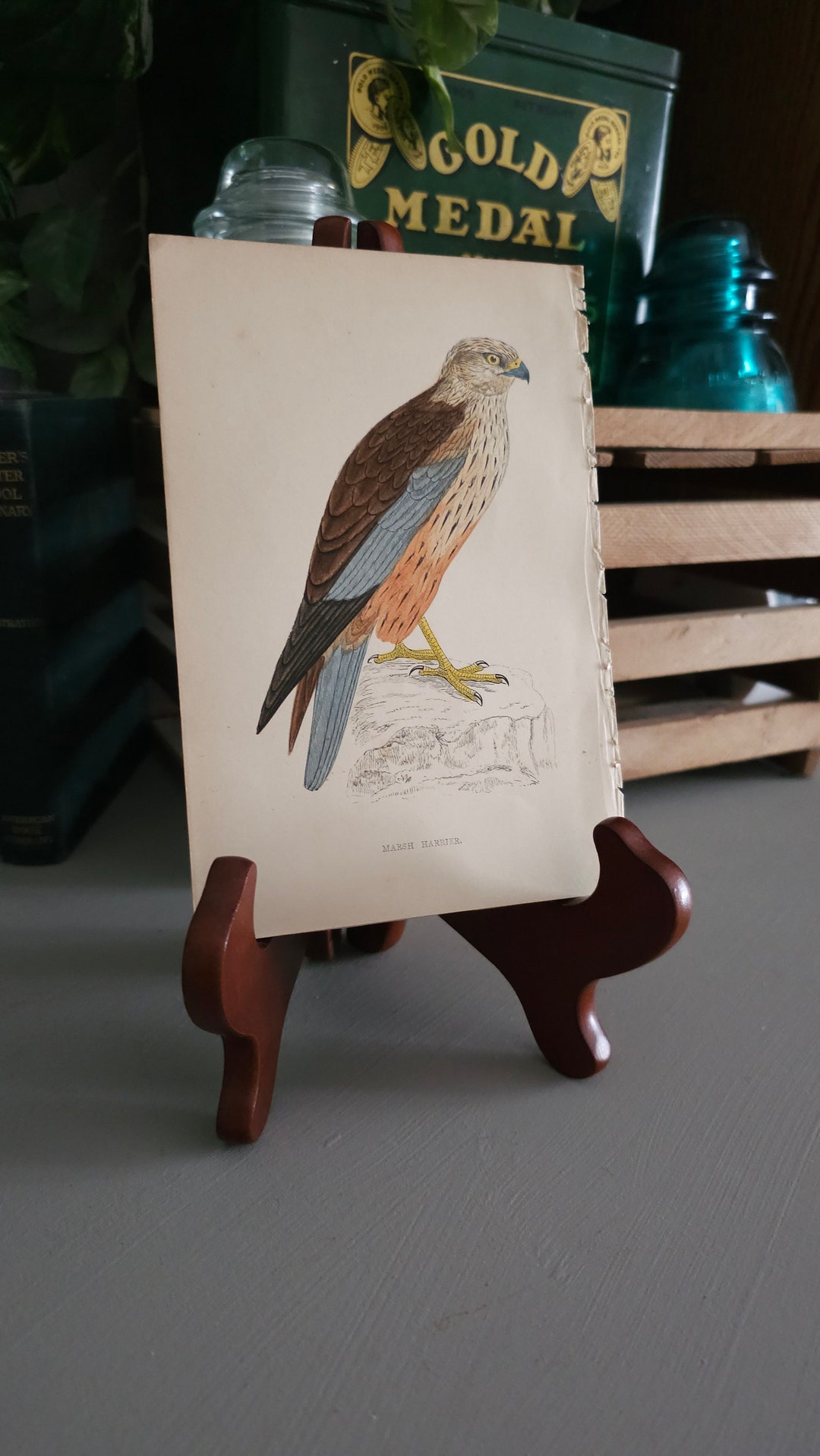 Rev. F. O. Morris MARSH HARRIER 1860 Antique Lithograph Bookplate First ...