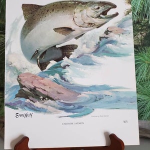 Vintage Fred Sweney Brook Trout Art: Signed Fish Print Wall Decor #4412 ...