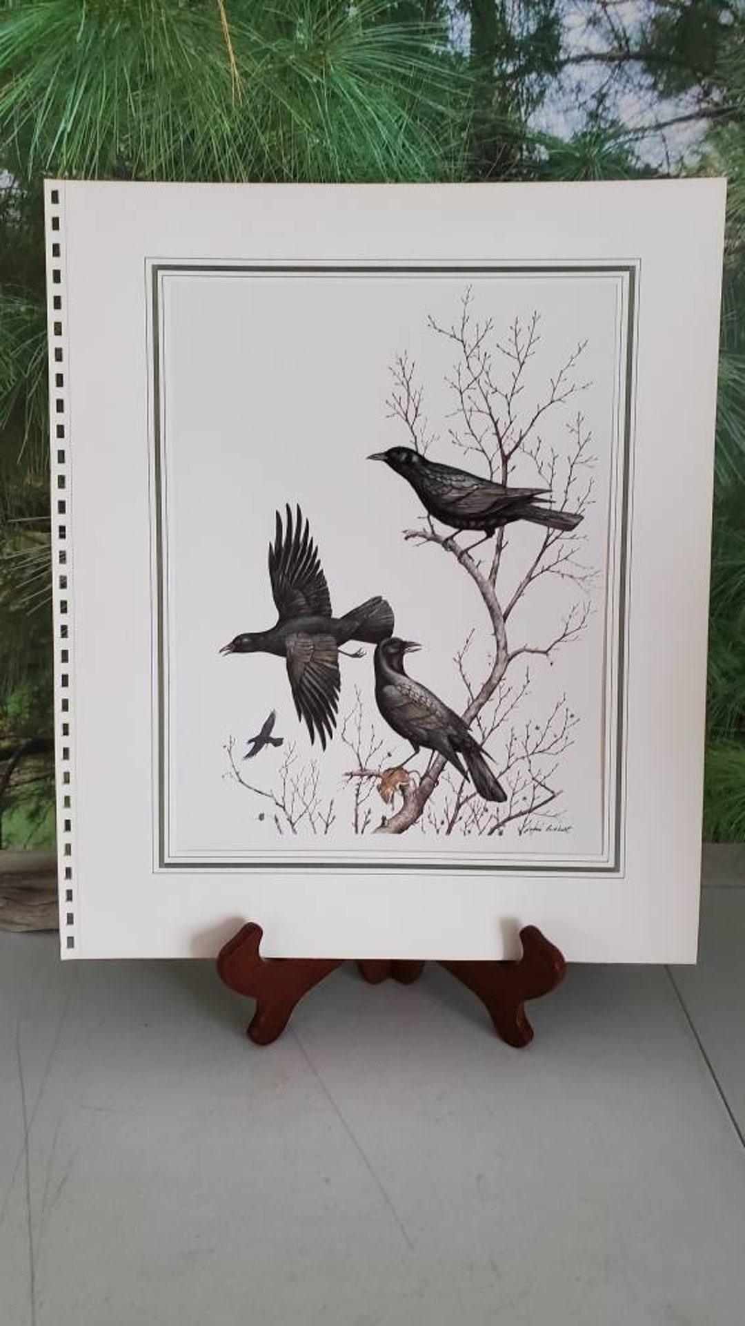 Crow or Raven Large 1967 James Lockhart Bookplate 17 9/16 Inches X 15 5 ...