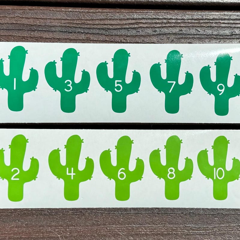 Cactus Decal - Etsy