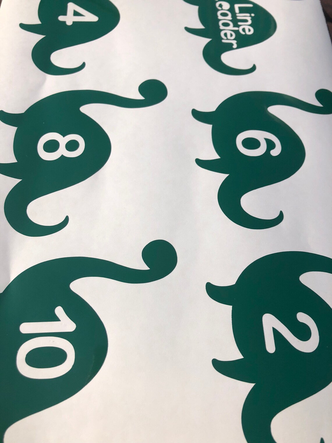 Dinosaur Classroom Line up Number Decals, Line Leader, Caboose - Etsy