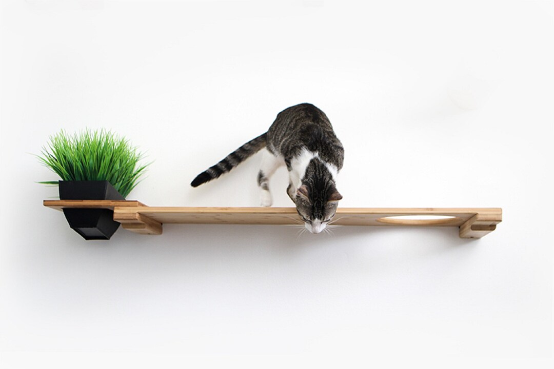Cat Escape Hatch Shelf With Planter, Wall Mounted Cat Wall Furniture ...