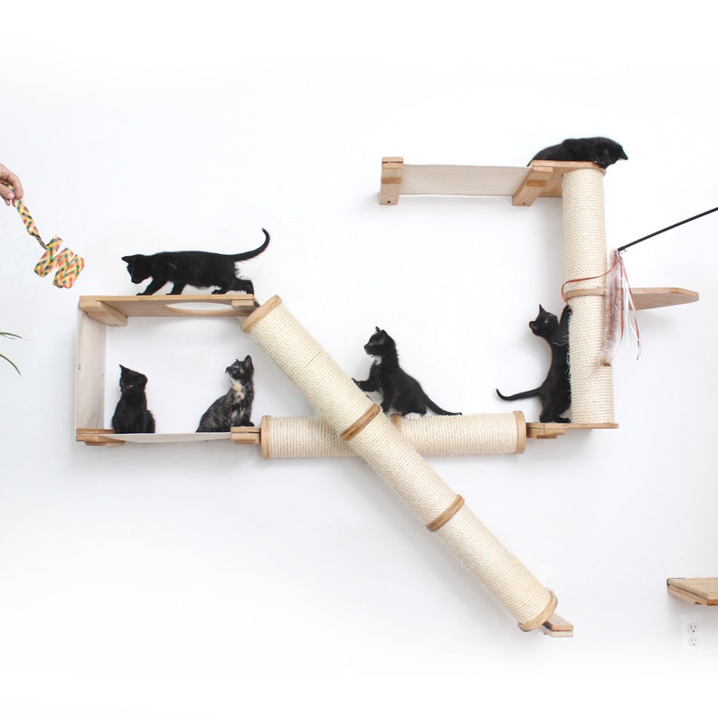 Wall Mounted Cat Tree - Crossroads, Cat Tree Alternative, Sisal Pole ...