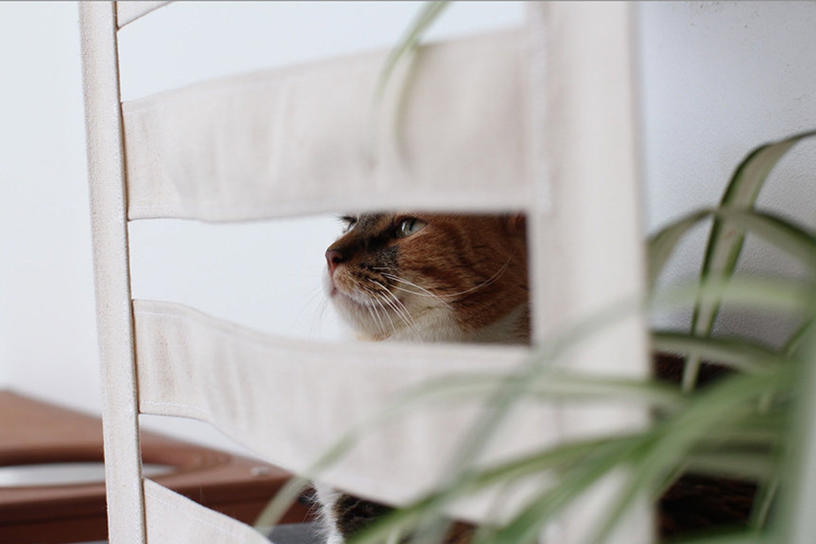 Deluxe Cat Cubby Planter or Cat Cubby Feeder Cat Furniture Cat Hammock ...