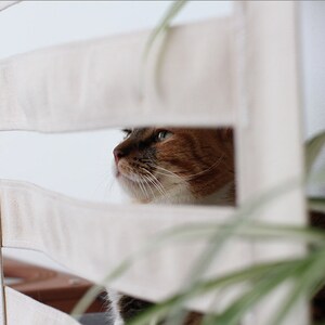 Deluxe Cat Cubby Planter or Cat Cubby Feeder Cat Furniture Cat Hammock ...