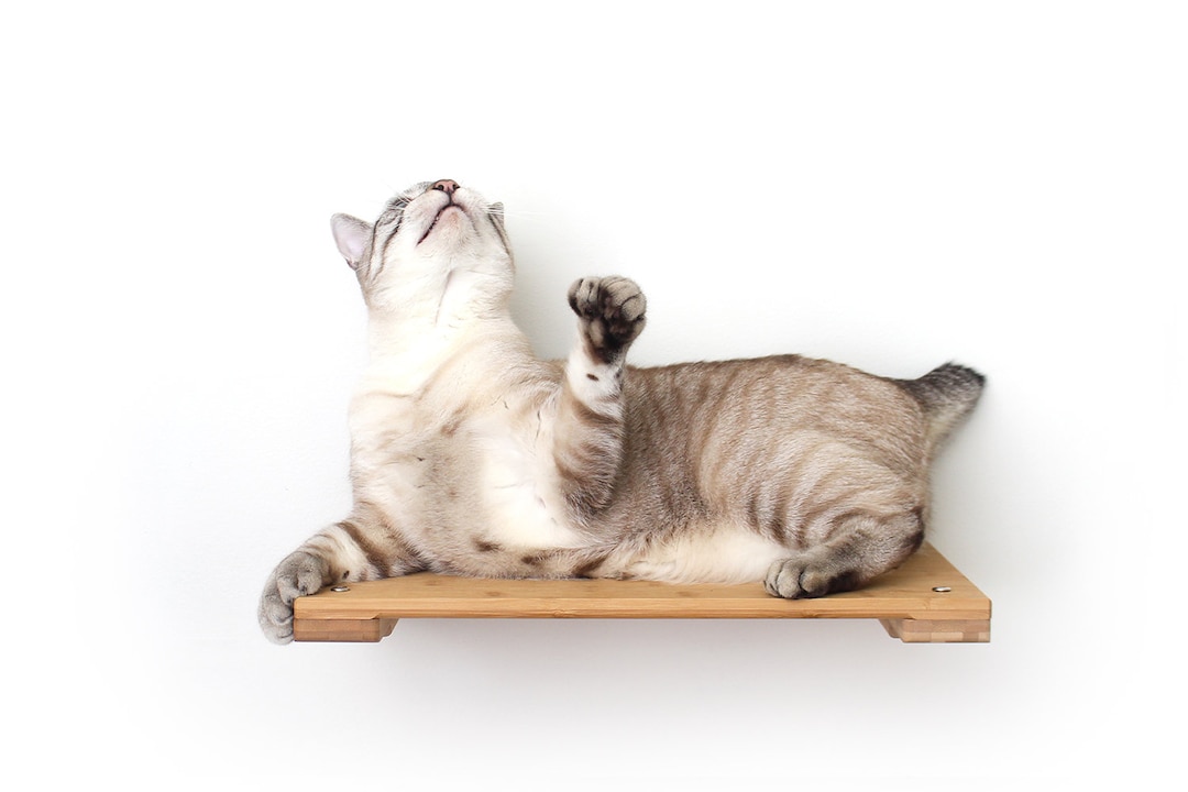 Cat Shelf 18-inch Wall Mounted Shelf Cat Shelves Cat Climb Cat ...