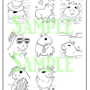 Cute Capybaras Coloring Book Digital Download - Etsy