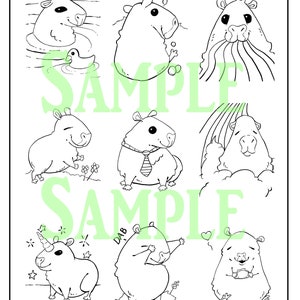 Cute Capybaras Coloring Book Digital Download - Etsy
