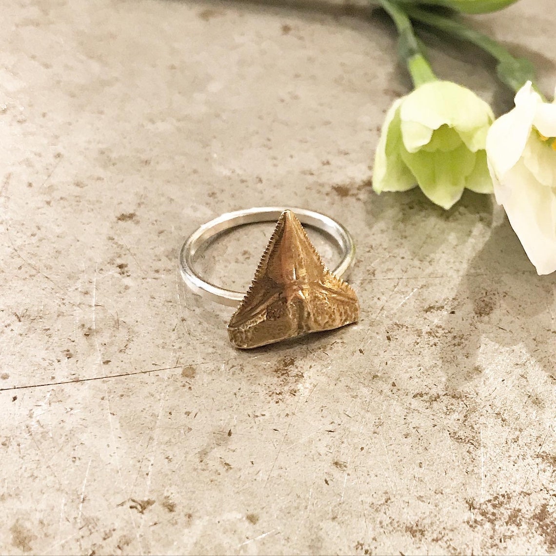 Shark Tooth Ring Brass Shark Tooth Brass Ring Shark Tooth Jewelry - Etsy