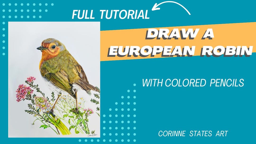 Draw a European Robin FULL Colored Pencil Tutorial - Etsy