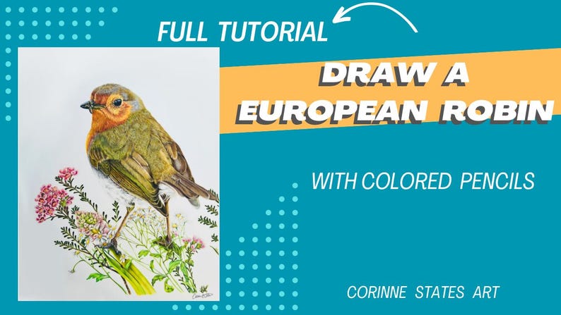Draw a European Robin FULL Colored Pencil Tutorial - Etsy