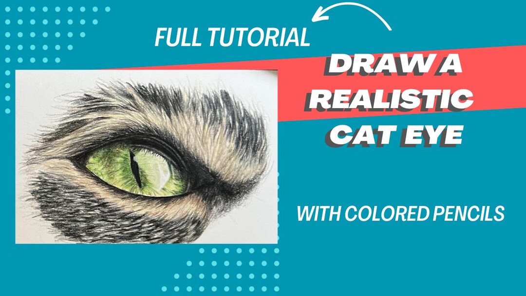 Draw A Realistic Cat Eye With Colored Pencils - Etsy