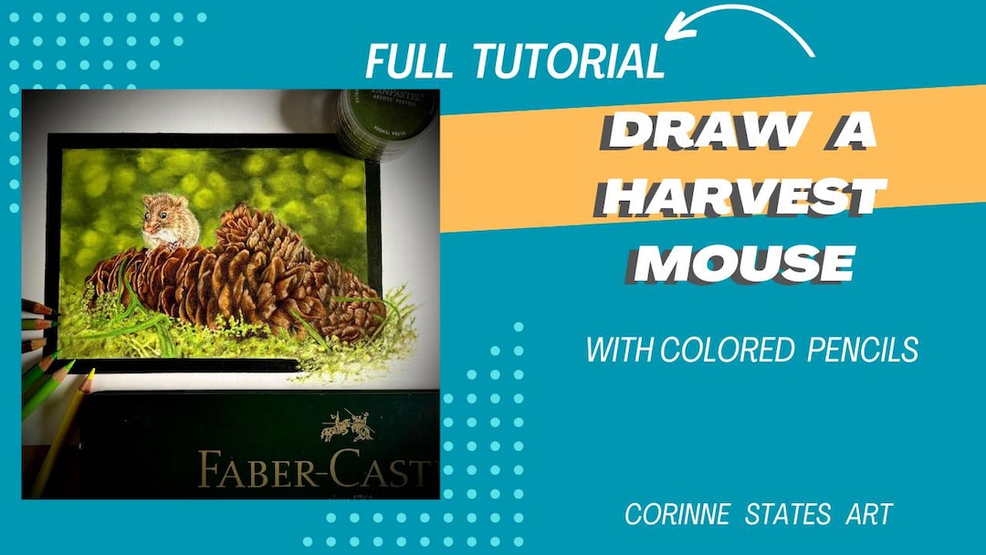 Draw A Harvest Mouse FULL Colored Pencil Tutorial - Etsy
