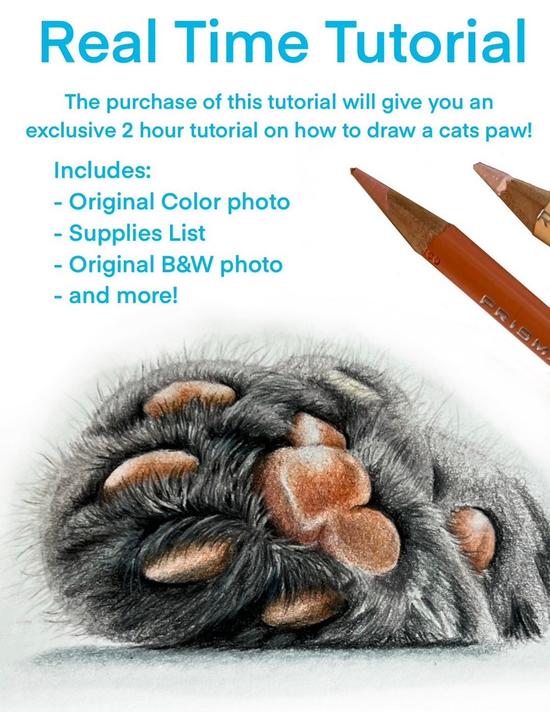 Beginners Guide Cats Paw Tutorial - Etsy