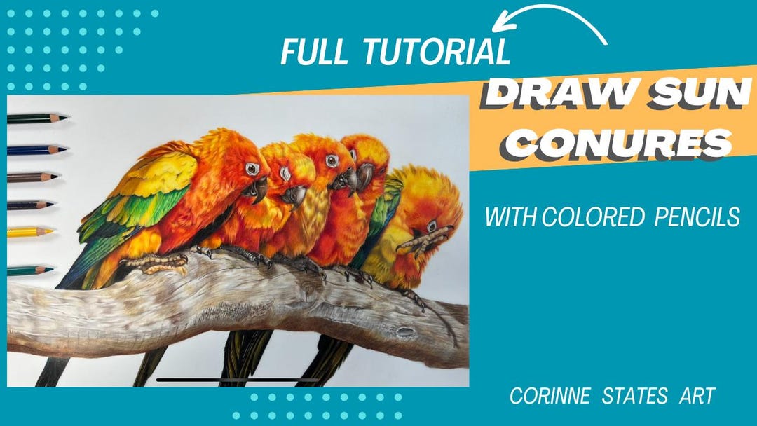 Draw Sun Conures FULL Colored Pencil Tutorial - Etsy
