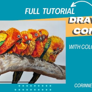 Draw Sun Conures FULL Colored Pencil Tutorial - Etsy
