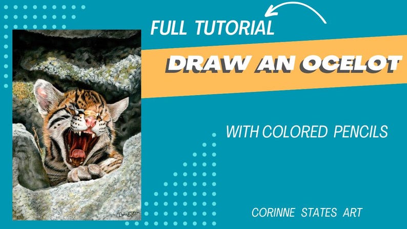 Draw an Ocelot FULL Colored Pencil Tutorial - Etsy