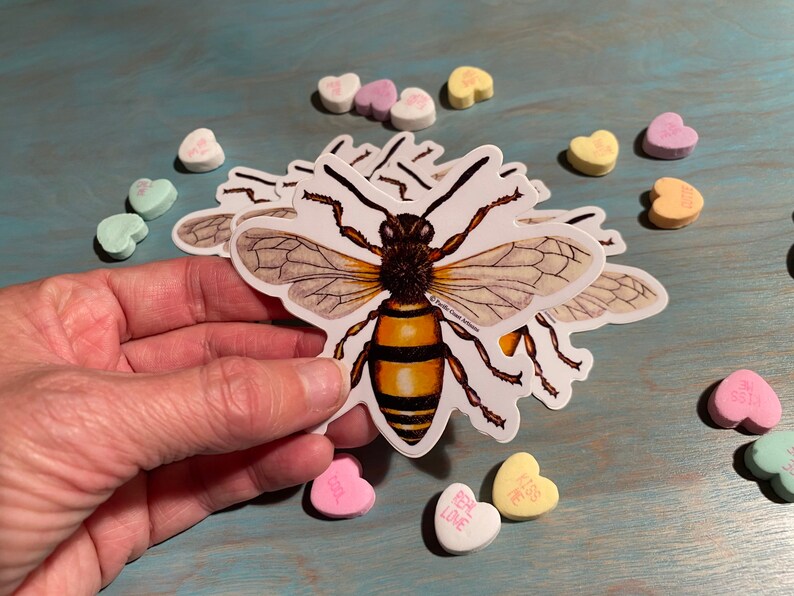 Honeybee Vinyl Sticker | Etsy
