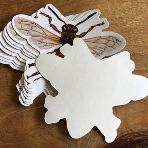 Honeybee Vinyl Sticker | Etsy