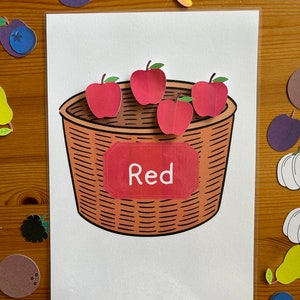 Color Sorting Activity, Montessori Color Montessori Card Printable ...