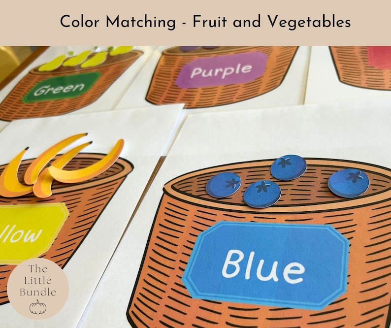Color Matching Activity Color Activity Learning Colors - Etsy Australia