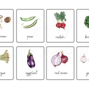 Vegetable Flashcards Print Learning Preschool Veggies Kids Flashcards ...
