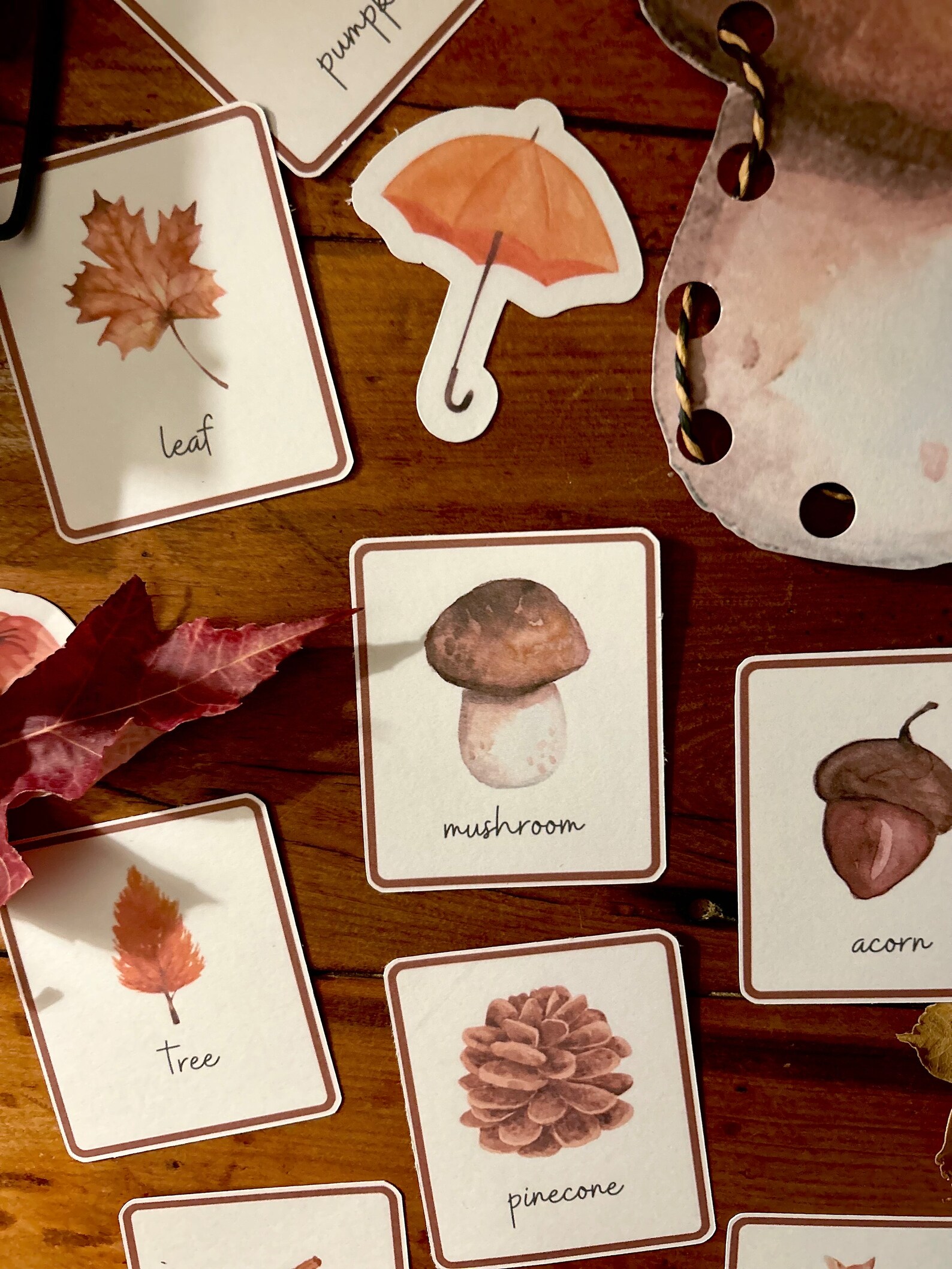 Printable Autumn Activities Fall Flashcards Printable - Etsy Australia