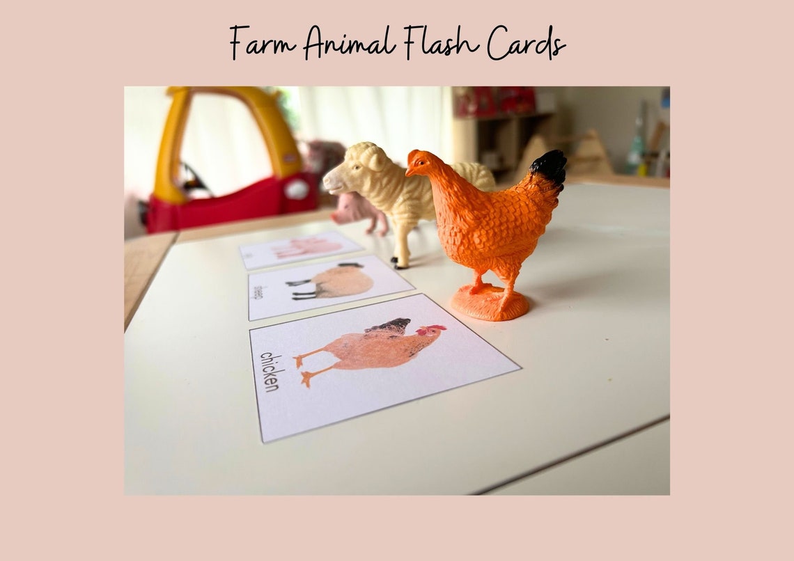 Farm Flashcards Printable Montessori Flash Cards Three Part - Etsy