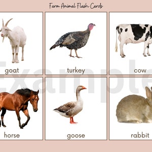 Farm Flashcards Printable Montessori Flash Cards Three Part Cards Farm ...