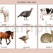 Farm Flashcards Printable Montessori Flash Cards Three Part Cards Farm ...