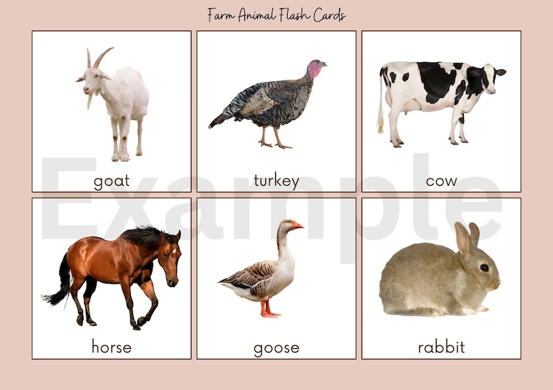 Farm Flashcards Printable Montessori Flash Cards Three Part - Etsy ...