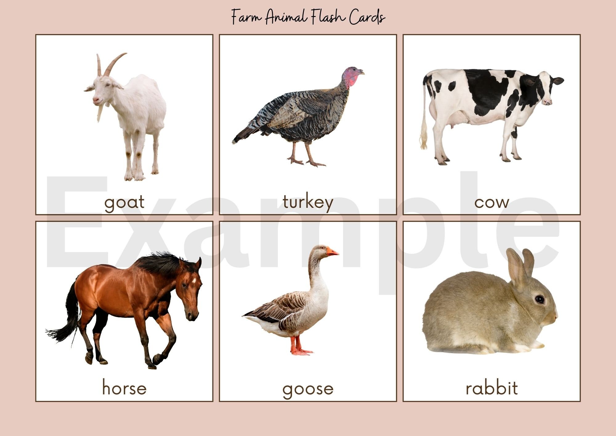 Farm Flashcards Printable Montessori Flash Cards Three Part - Etsy ...